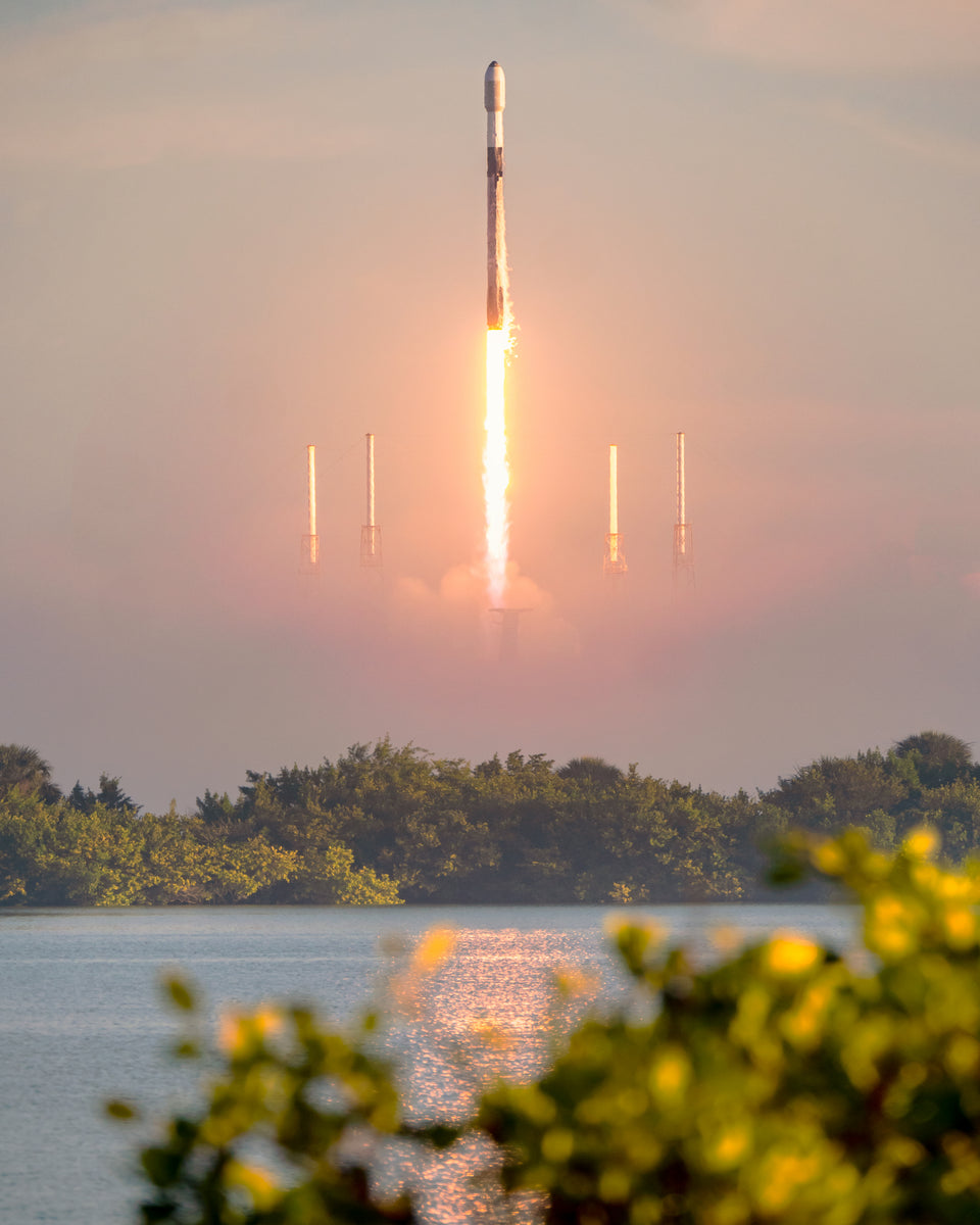 Falcon Through the Fog – Steven Madow Photography